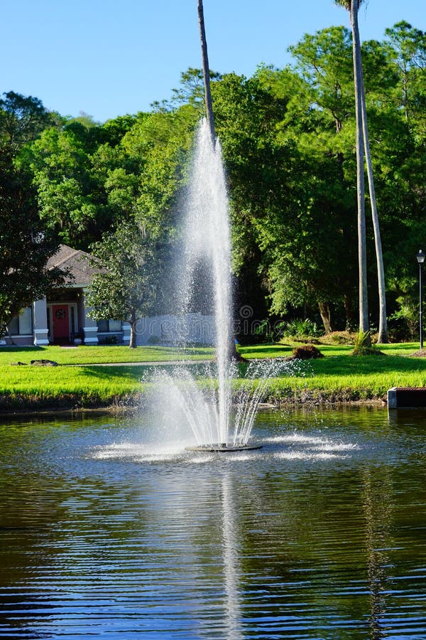 A Beautiful Florida Community Pond in Summer Stock Photo - Image of ...