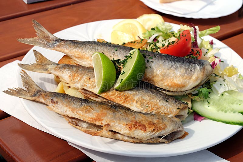 Typical German Fish-Plate stock photo. Image of fish - 80922944