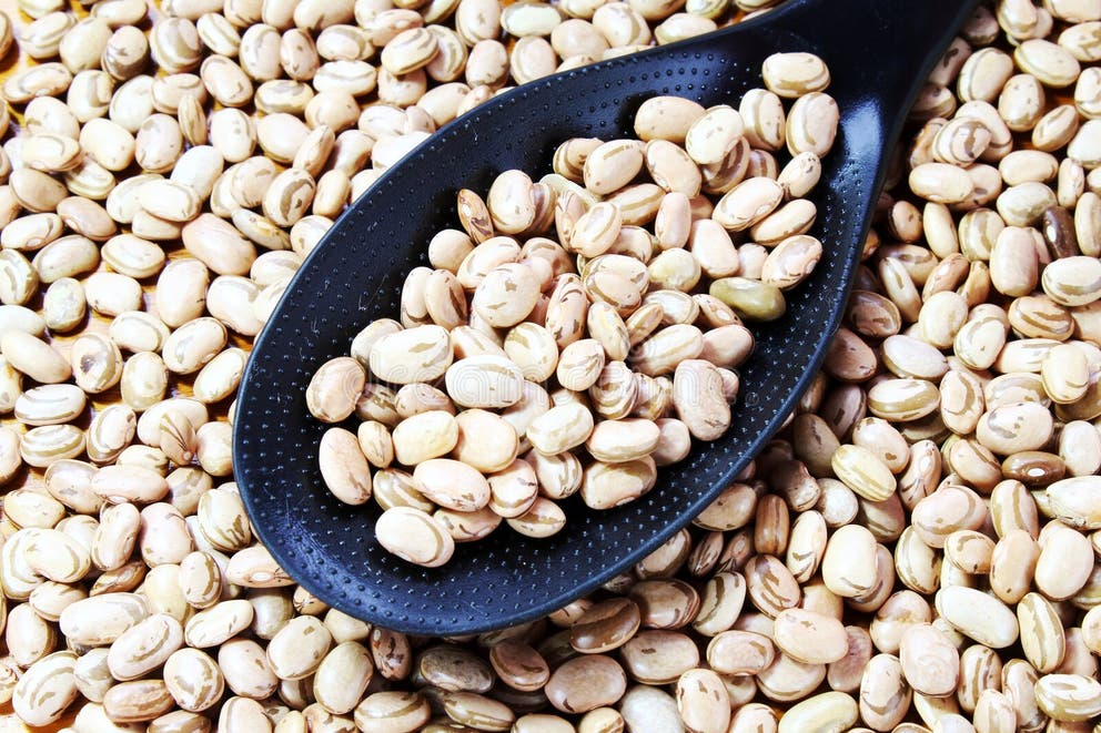 Typical Grain Present in Brazilian Culinary. Pinto Beans in Plastic ...