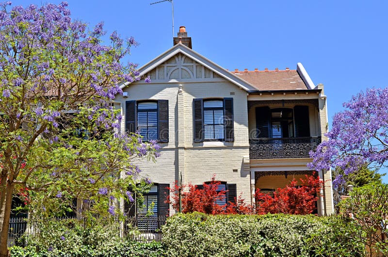 Typical Australian Big Family House with Flowering Jacaranda Tree at ...