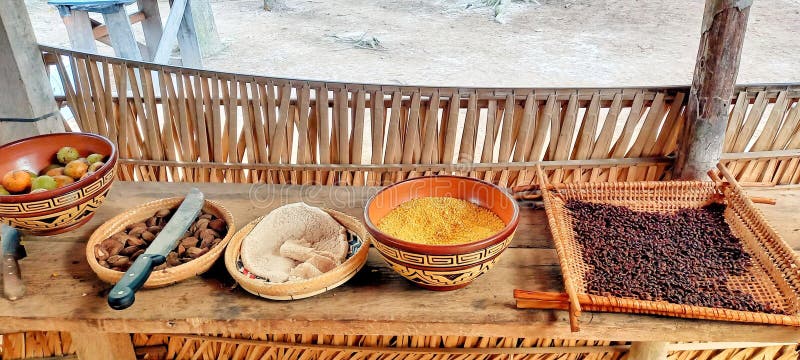 Exotic Food from the Twuika Tribe in the Amazon Rainforest Stock Photo ...