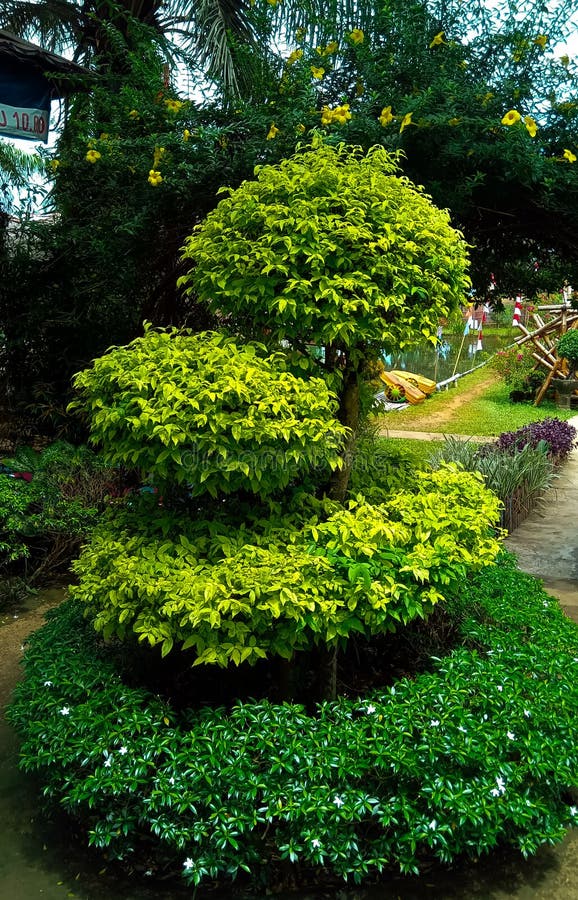 Typical Indonesian Steamed Bread and Toast with Various Fillings Stock ...