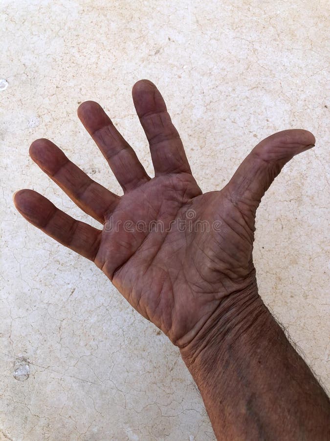 Typical Italian Hand Gestures for Communication Stock Photo - Image of ... Typical Italian Hand Gestures for Communication Stock Photo - Image of ...