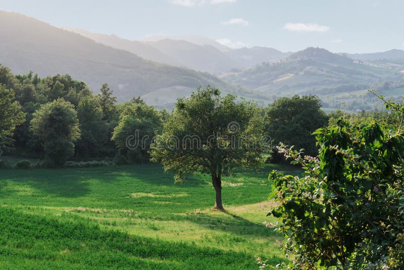 Typical Italian landscape stock image. Image of farm - 133553959