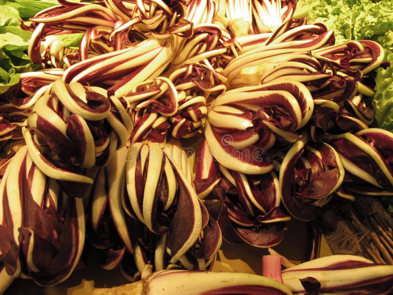 Typical Italian Vegetables the Radish Stock Photo - Image of europa ...