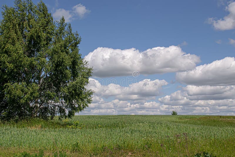 602 Eastern European Plain Stock Photos - Free & Royalty-Free Stock ...