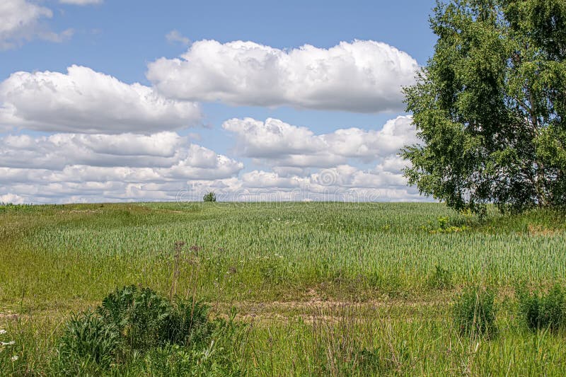 Great European Plain Facts