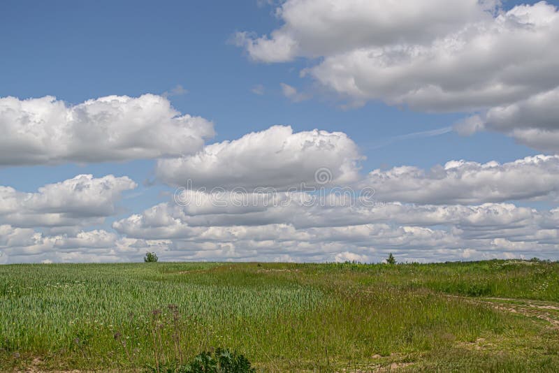A Typical Landscape on the Central Russian Upland, Which is Located on ...