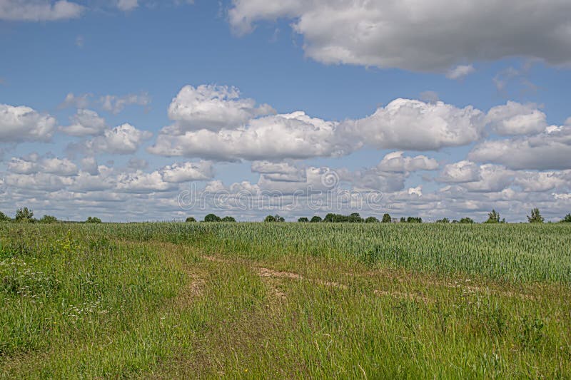 A Typical Landscape on the Central Russian Upland, Which is Located on ...
