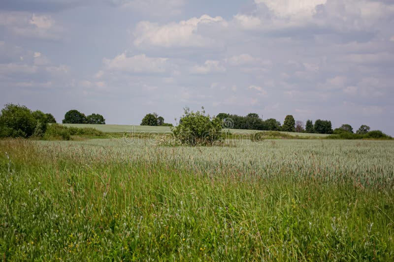 A Typical Landscape on the Central Russian Upland, Which is Located on ...