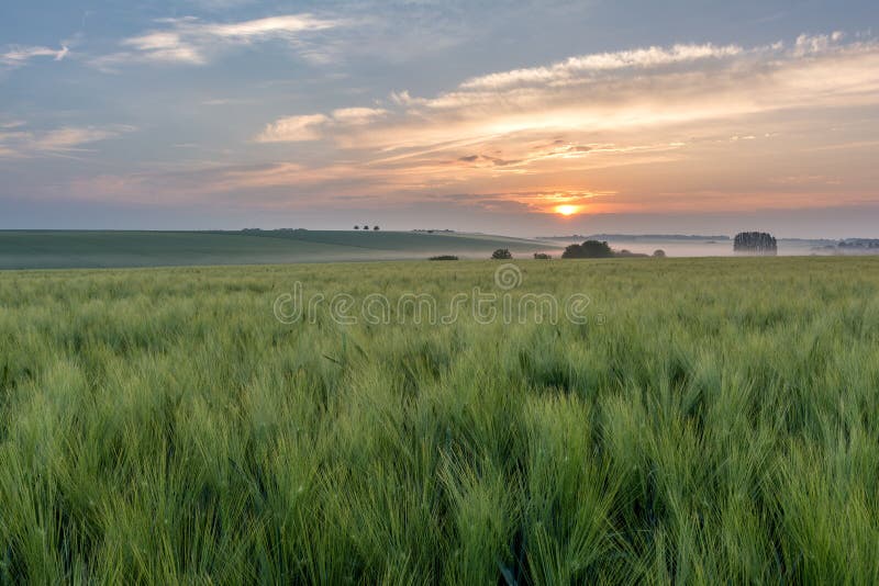 French Countryside - Lorraine Stock Photo - Image of meadow, primary ...