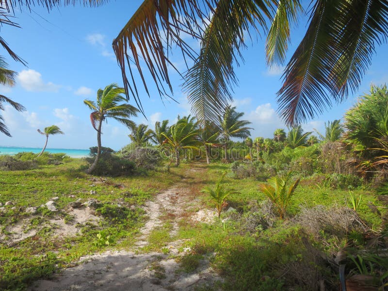 Mexican Landscape Stock Photos - Download 23,809 Royalty Free Photos