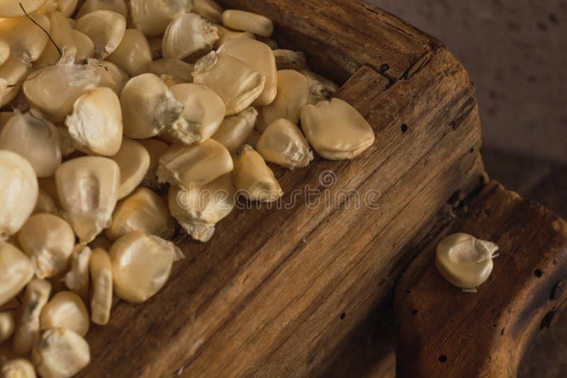 Typical Mexican White Corn on a Wooden Panel Stock Image - Image of ...