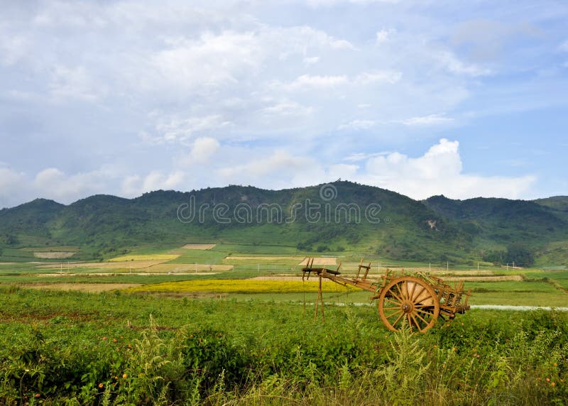 Myanmar Landscape and Horse Wagon Stock Photo - Image of work, nature ...