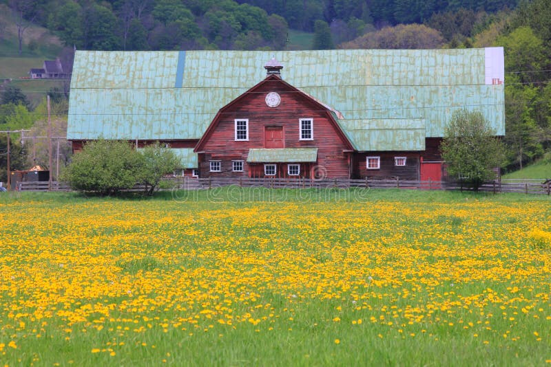Typical New England Landscape Stock Photo - Image of agriculture, grass ...