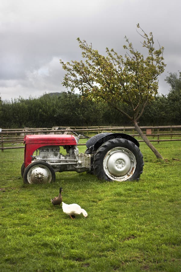 Typical Old British Farmyard Scene Stock Photo - Image of field, scene ...