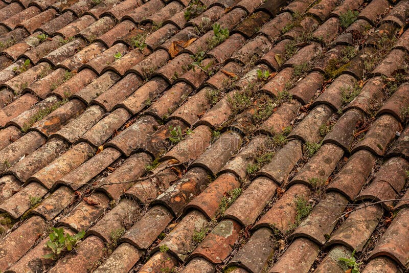 Italian Roof Tiles - Siena, Italy Stock Image - Image of lanes, tiles ...
