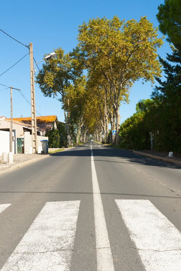 Typical Plane Tree Lined French Road Stock Photo - Image of rural, blue ...