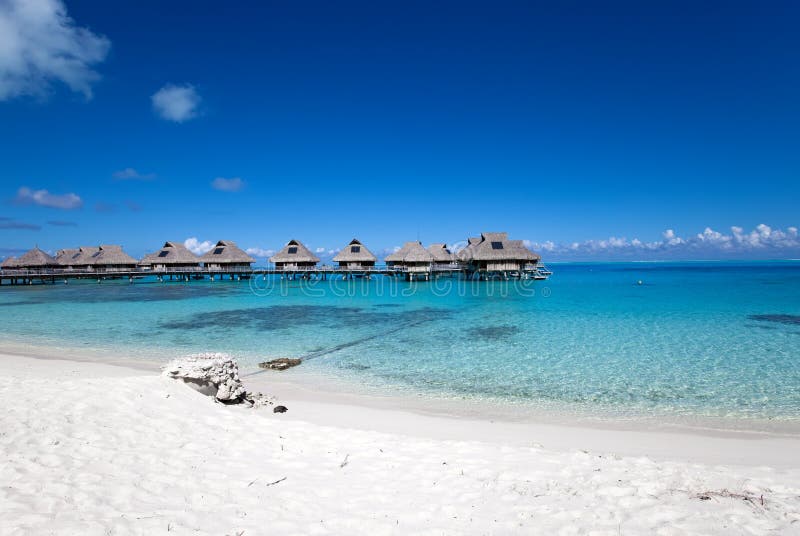 Typical Polynesian Landscape - Seacoast with Palm Trees and Small ...