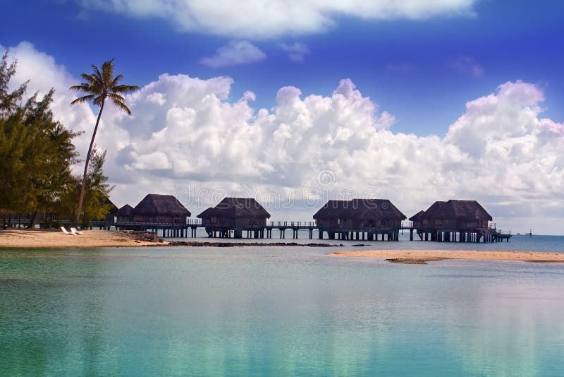 Polynesian landscape stock image. Image of coastline - 29779185
