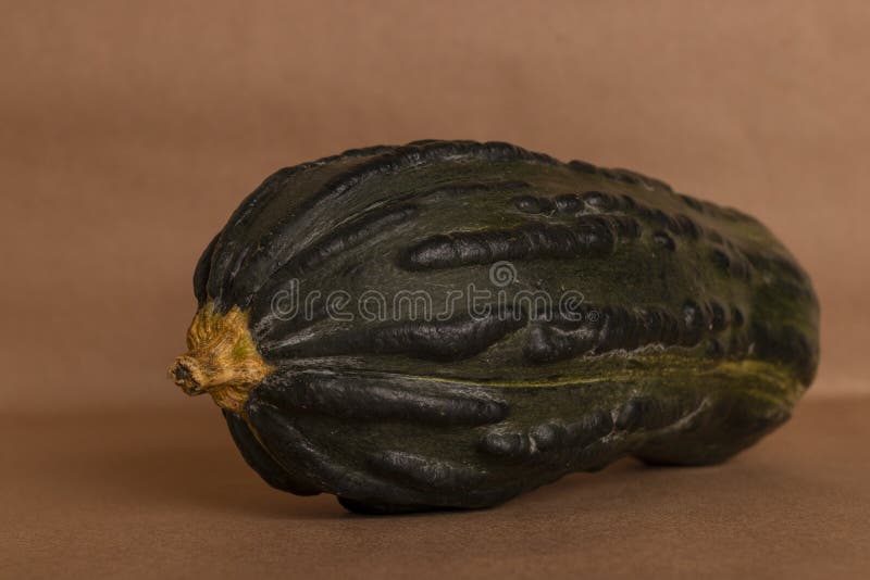 Typical Pumpkin from Peru, Also Called As: Zapallo Loche Stock Photo ...