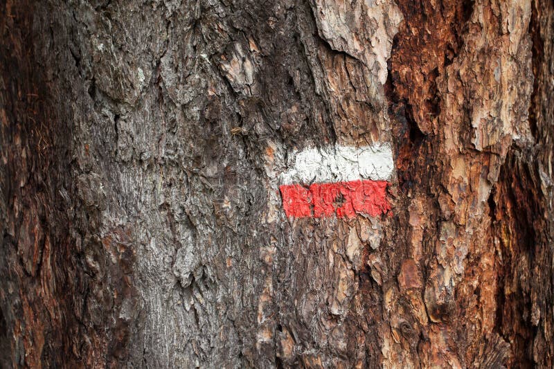 A Typical Red and White Path Sign Over a Pine Tree Stock Photo - Image ...