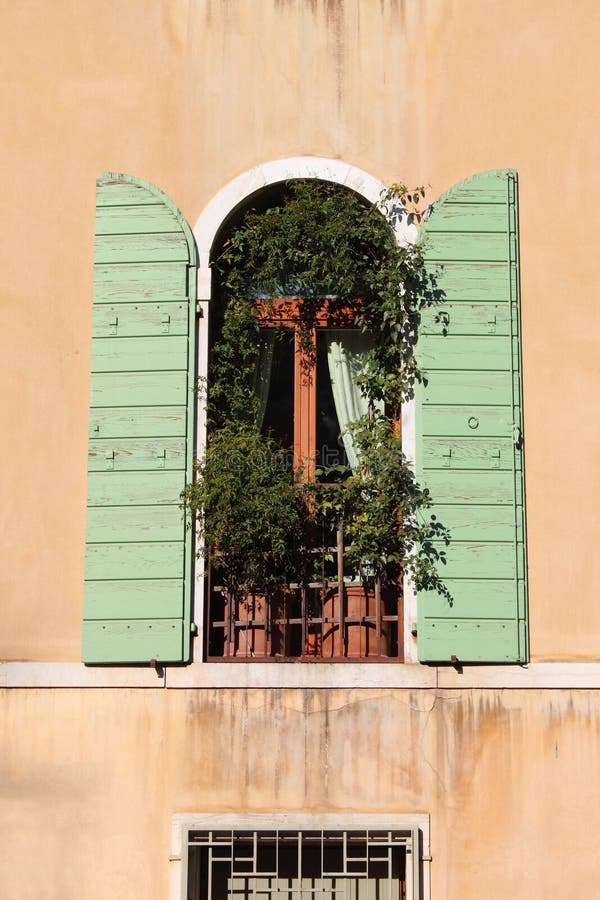 Typical Renaissance Window in Venice Stock Image - Image of double ...