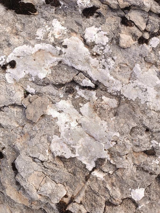 Typical Rock Formation of Central Italy, Stone with Lichens Stock Photo ...