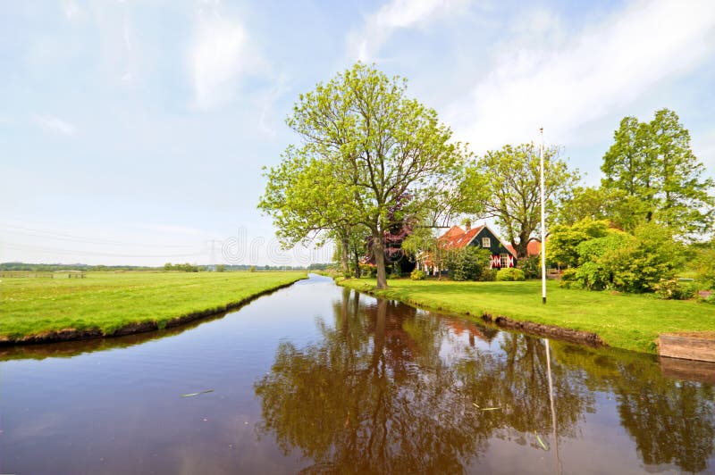 Typical Rural Dutch Landscape Stock Image - Image of landscape ...