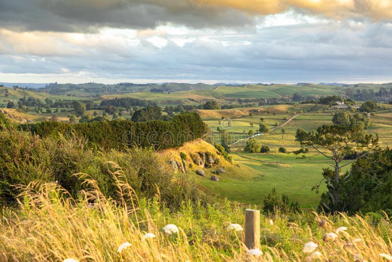 Typical Rural Landscape in New Zealand Stock Photo - Image of island ...