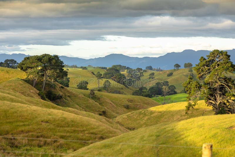 Typical Rural Landscape in New Zealand Stock Image - Image of travel ...