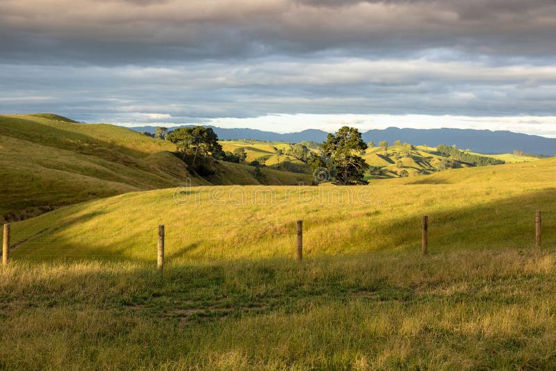 Typical Rural Landscape in New Zealand Stock Image - Image of rural ...