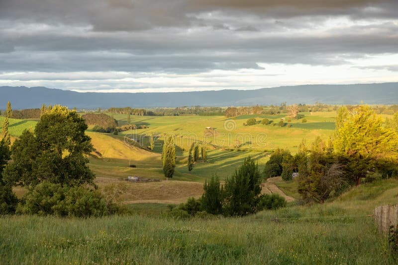 Typical Rural Landscape in New Zealand Stock Image - Image of nature ...