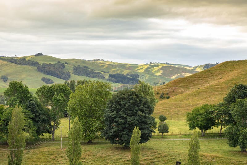 Typical Rural Landscape in New Zealand Stock Image - Image of green ...
