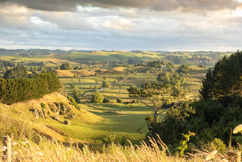 Typical Rural Landscape in New Zealand Stock Image - Image of scene ...