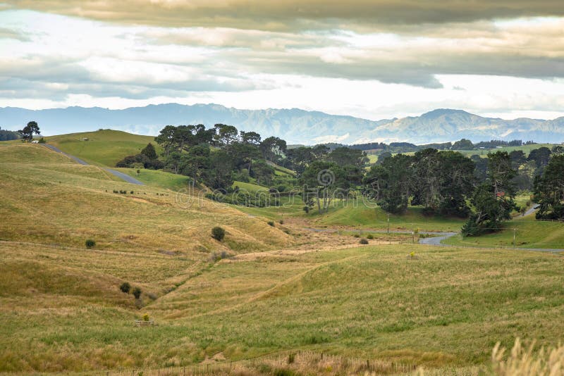 Typical Rural Landscape in New Zealand Stock Image - Image of sunset ...