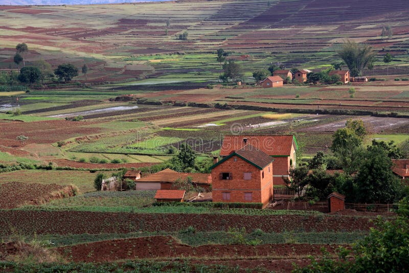 Typical Rural Madagascar View Stock Photo - Image of africa, roof: 3806480