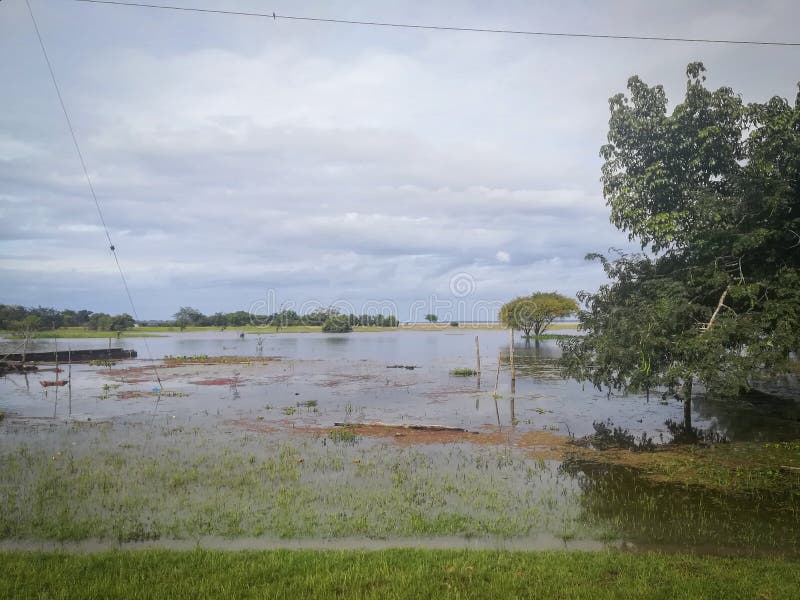 A Typical Scene in an Amazonian Village in the Amazon Basin. Stock ...