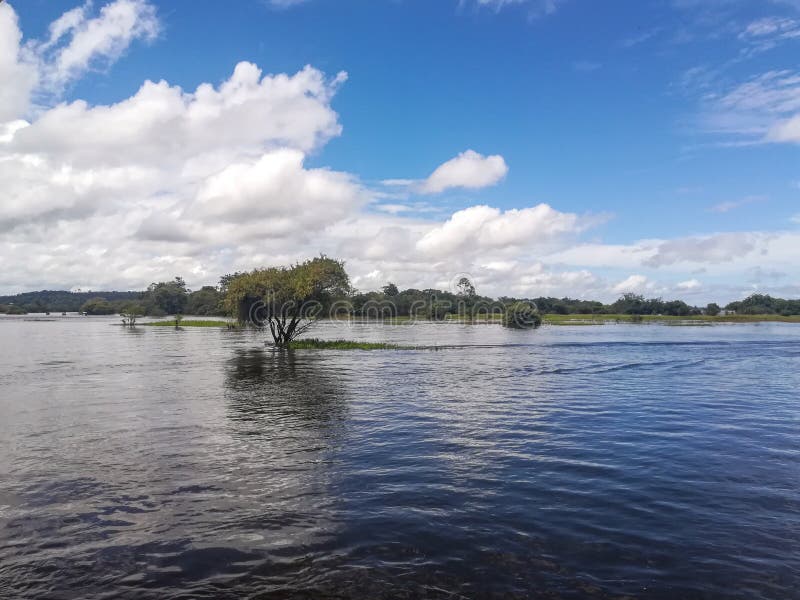 A Typical Scene in an Amazonian Village in the Amazon Basin. Stock ...