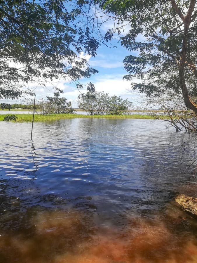 A Typical Scene in an Amazonian Village in the Amazon Basin. Stock ...