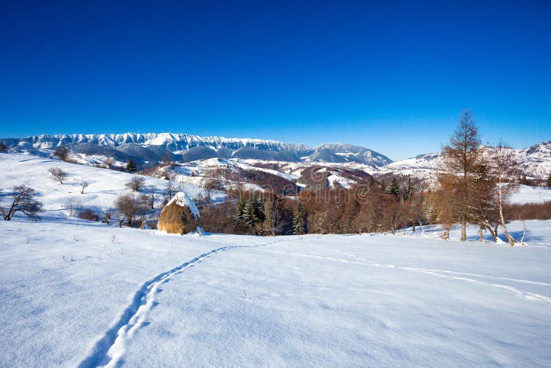 Typical Scenic Winter View from Bran Castle Stock Image - Image of ...