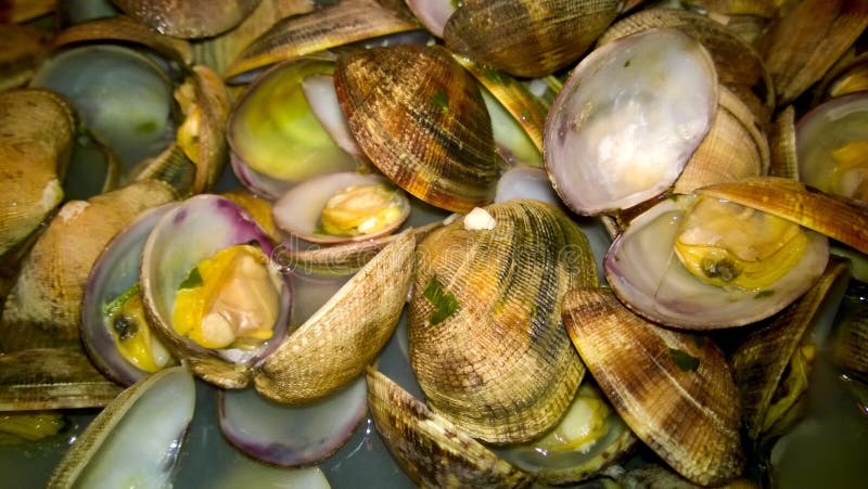 Typical Spanish Dish: Clams with Garlic and Parsley Sauce Stock Image ...