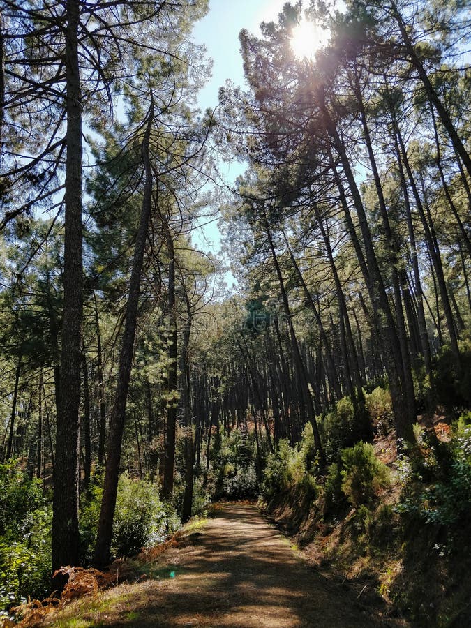 A Typical Spring Day in the Mountains of Spain Stock Photo - Image of ...