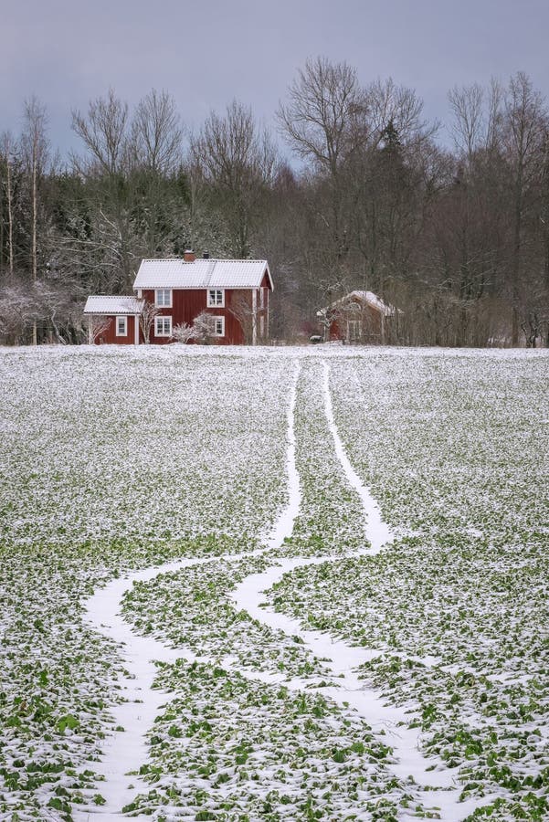 The Red Cottage stock photo. Image of forest, house - 253762184