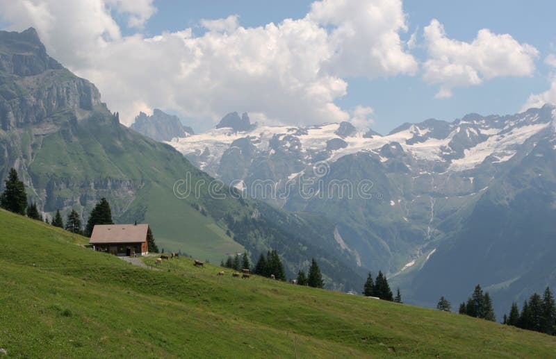 Typical Swiss Landscape Picture. Image: 1150448