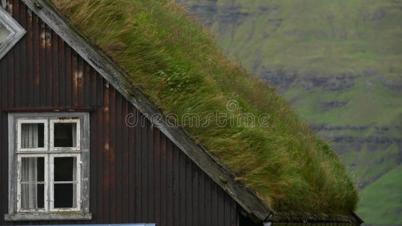 Typical Turf-top Grass Roof, Windy Day Stock Footage - Video of windy, nature: 338519260
