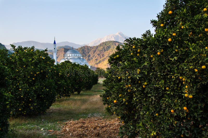 Typical Turkish Rural Landscape Stock Photo - Image of tradition ...