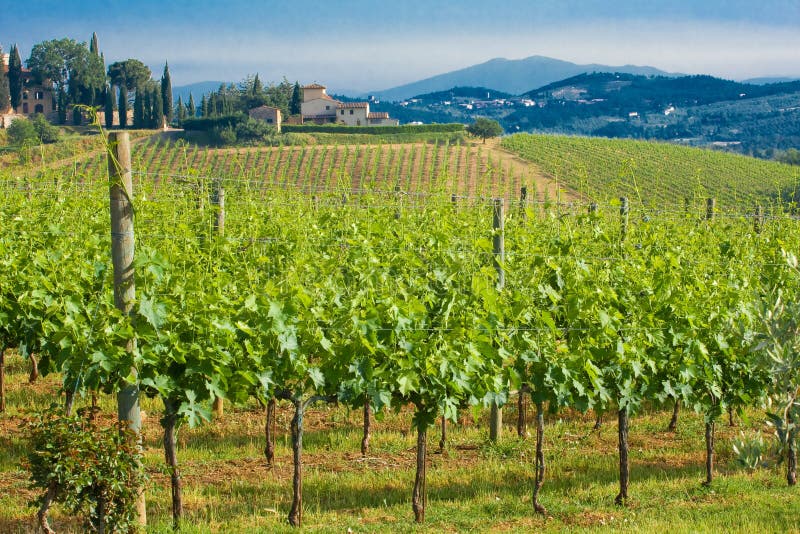 Typical Tuscan landscape stock photo. Image of farm, scene - 10880394