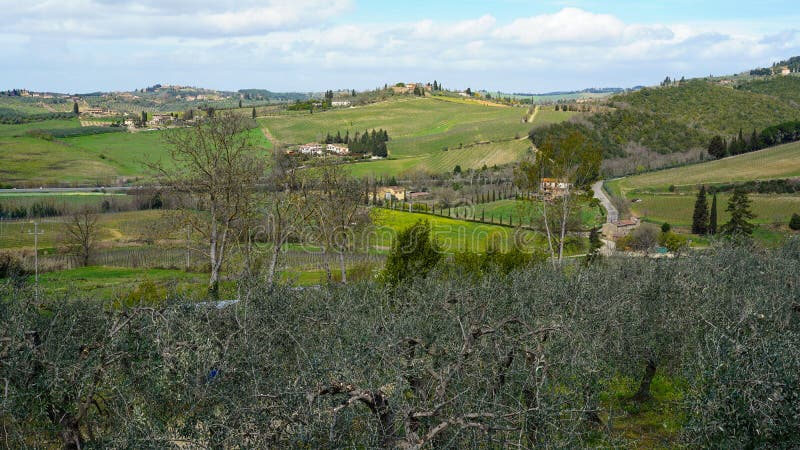 Typical Tuscan Scenery with Wineries, Olive Trees, and Rolling Hills ...