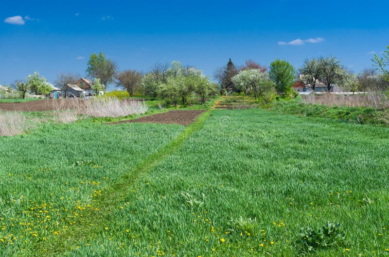 Typical Ukrainian Rural Landscape at Spring Season Stock Photo - Image ...